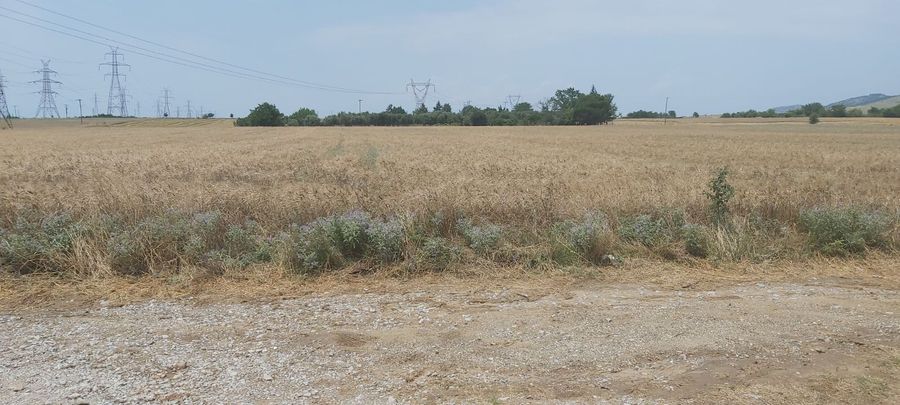Πώληση, Αγροτεμάχιο, 10000τ.μ. Ωραιόκαστρο, Παλαιόκαστρο | 14274936 ...