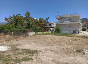 Πώληση, Οικόπεδο, 266τ.μ. Βίλια, Κάτω Αλεποχώρι | 14367468 | Spitogatos