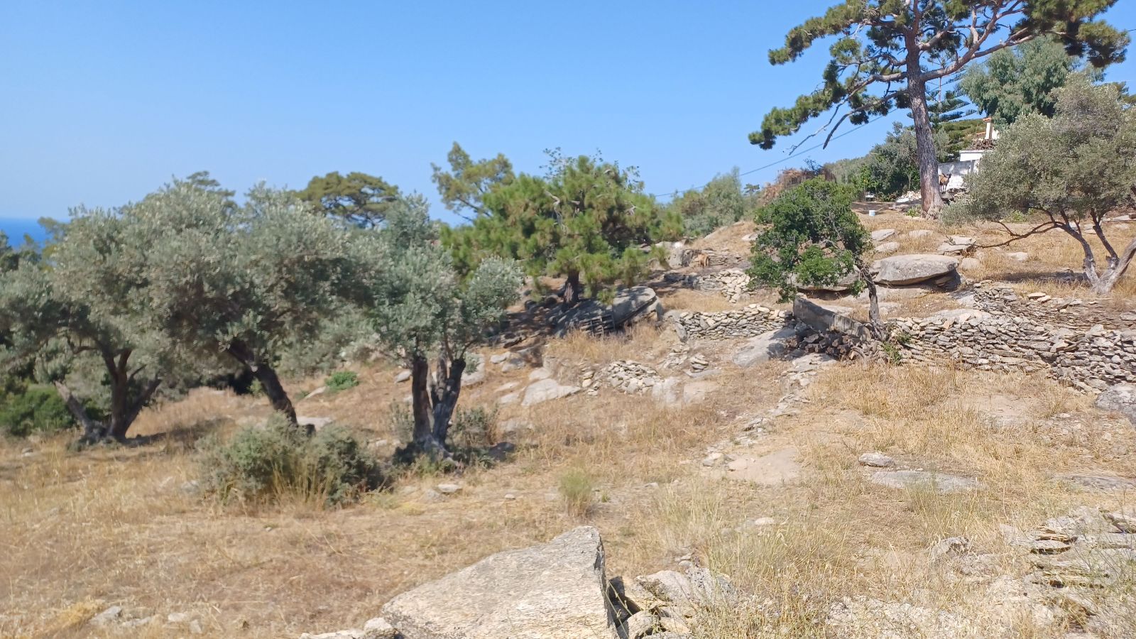 Buildable plot for sale.