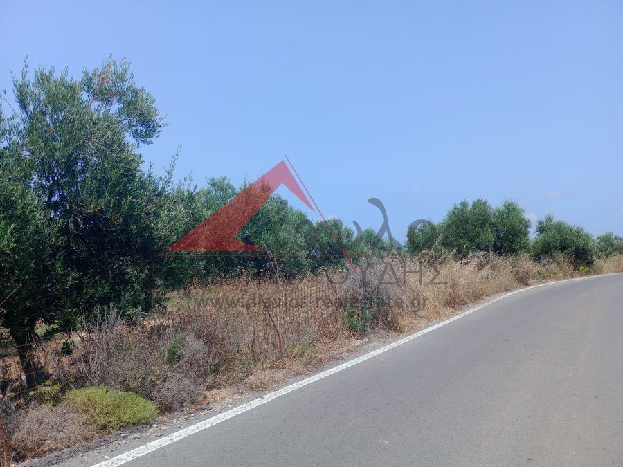 Πωλείται αγροτεμάχιο 40 στρ με 1300 ελαιόδεντρα στην Αλφά Ρεθύμνου