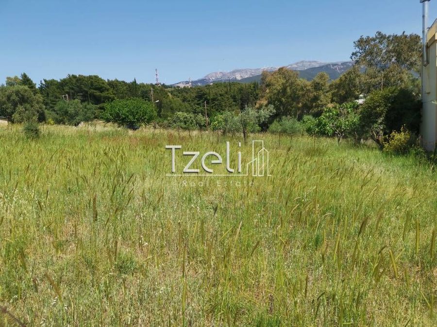 Πώληση, Οικόπεδο, 623τ.μ. Μεσσατίδα, Οβριά | 14467727 | Spitogatos