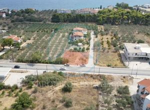 Saronikos Real Estate