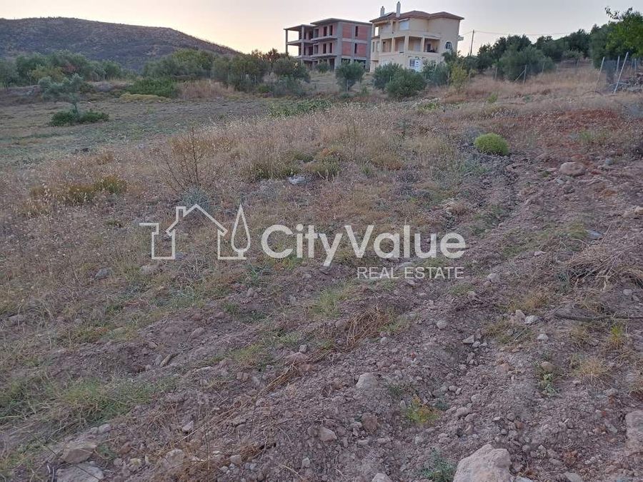 Πώληση, Αγροτεμάχιο, 5000τ.μ. Υπόλοιπο Αττικής, Πολυδένδρι | 14633834 ...