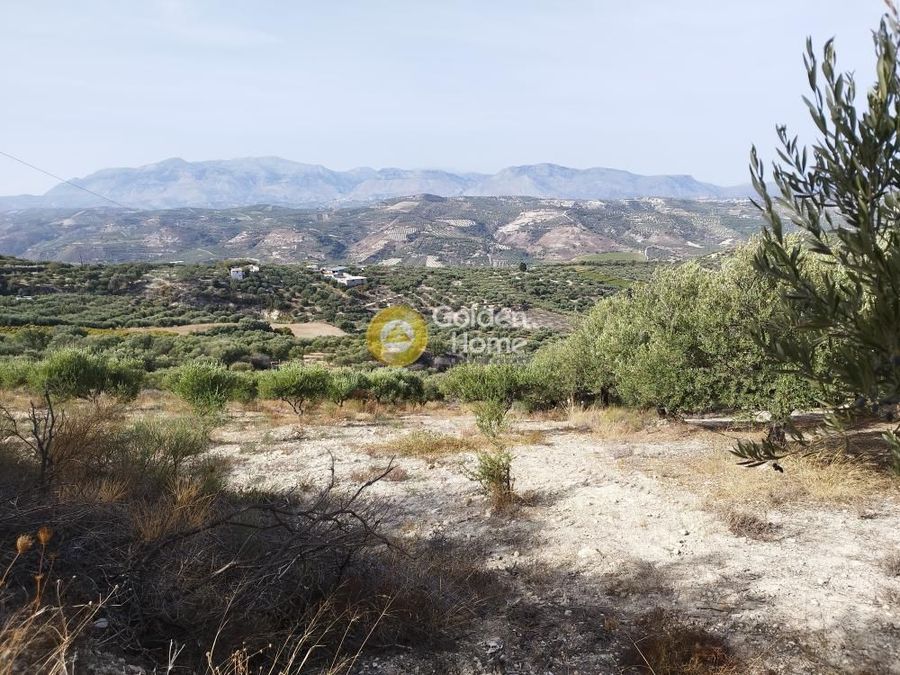 Πώληση, Αγροτεμάχιο, 10000τ.μ. Ηράκλειο Κρήτης, Άγιος Βλάσιος ...
