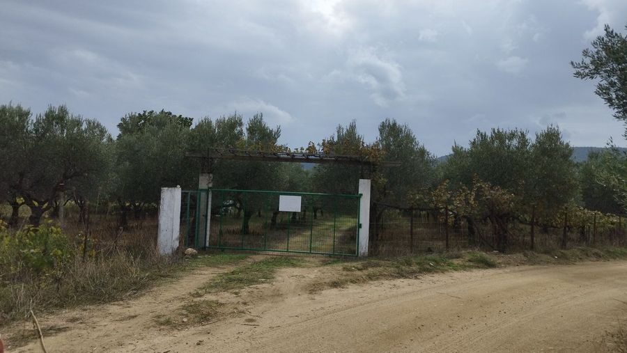 Πώληση, Αγροτεμάχιο, 5000τ.μ. Τορώνη, Σάρτη | 14874696 | Spitogatos
