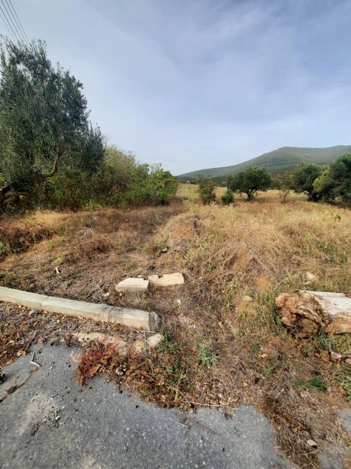 Πώληση, Αγροτεμάχιο, 2050τ.μ. Θέρμη, Φιλοθέη | 14900917 | Spitogatos