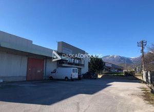 Πώληση, Βιομηχανικός χώρος, 2600τ.μ. Νάουσα, Κουλούκι | 14895490 ...