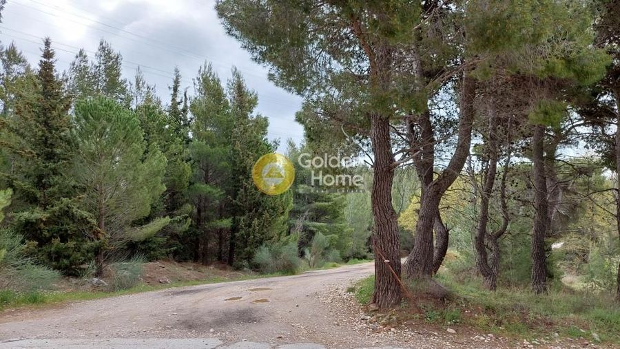 Sale, Parcel, 250m² Athens - North, Nea Penteli | 15106531 | Spitogatos