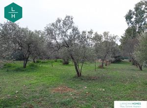 Πώληση, Αγροτεμάχιο, 1000τ.μ. Σολύγεια, Κόρφος | 15397384 | Spitogatos