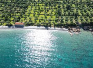 Πώληση, Οικόπεδο, 8337τ.μ. Λεωνίδιο, Πούλιθρα | 15417400 | Spitogatos