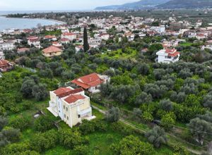 Πώληση, Οικόπεδο, 1000τ.μ. Διακοπτό, Ελαιώνας | 15482697 | Spitogatos