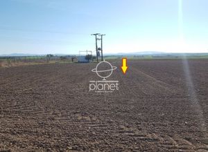 Sale, Parcel, 10500m² Epanomi, Center | 11066791 | Spitogatos