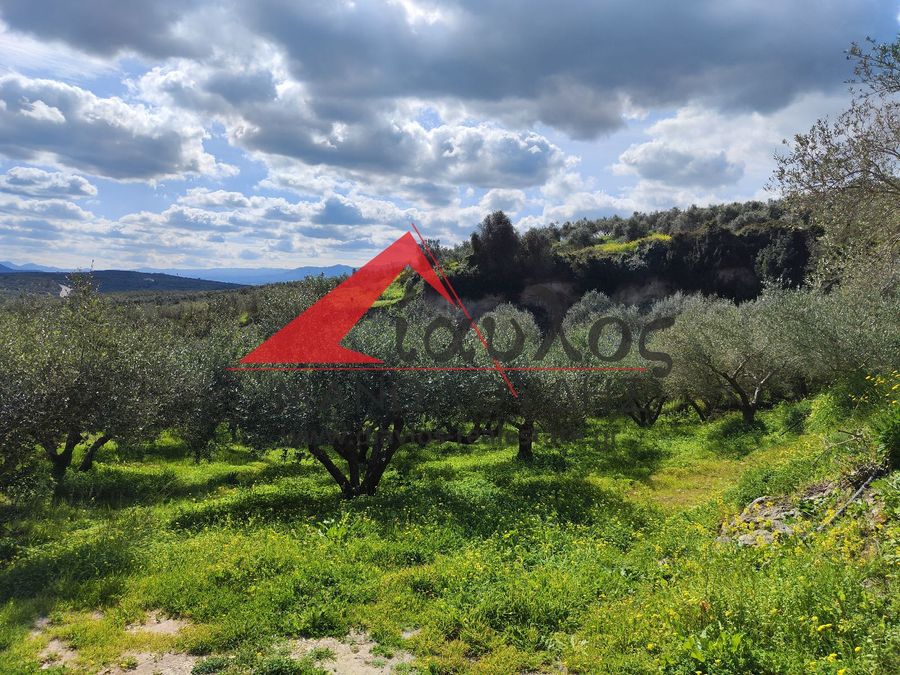 Αγροτεμάχιο προς πώληση Αγγελιανά (Γεροπόταμος) - Πωλείται στα ...