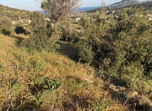 Sale, Plot, 319m² Artemida (Loutsa), Prasinos Lofos | 15641992 | Spitogatos