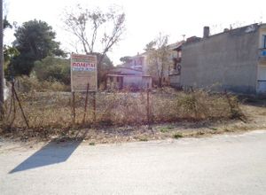 Πώληση, Οικόπεδο, 400τ.μ. Θερμαϊκός, Νέοι Επιβάτες | 15759092 | Spitogatos