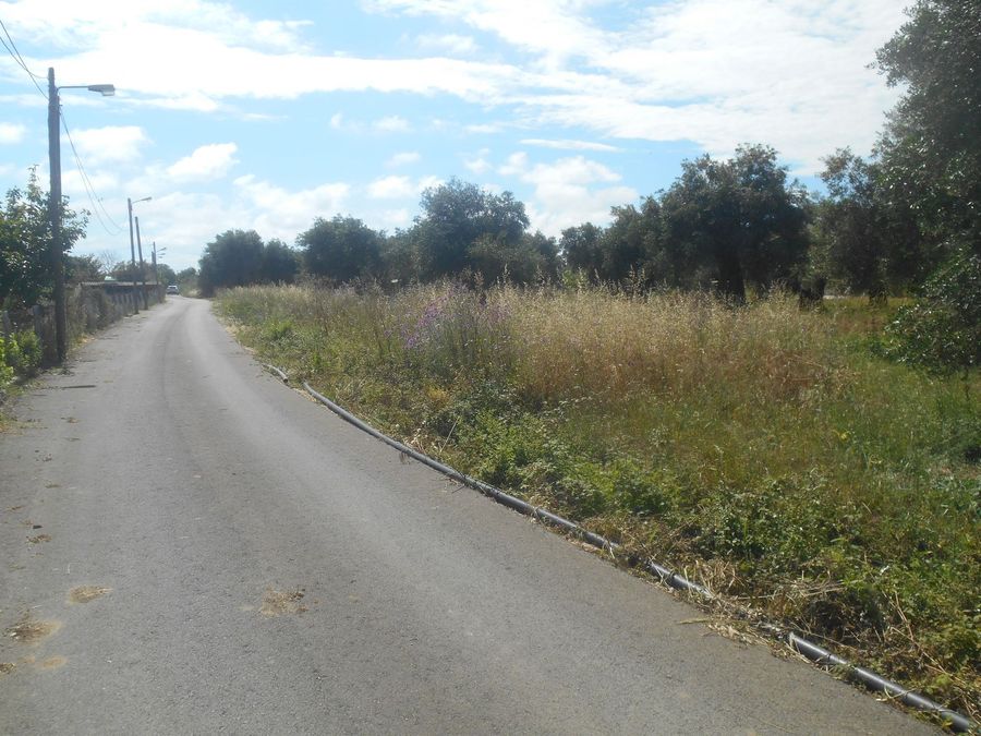Πώληση, Αγροτεμάχιο, 7400τ.μ. Πρέβεζα, Κέντρο | 15752971 | Spitogatos