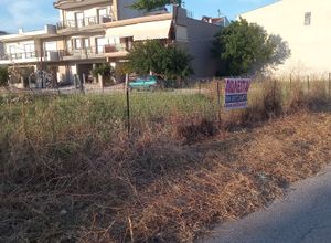 Πώληση, Οικόπεδο, 453τ.μ. Λάρισα, Νέα Πολιτεία | 15820282 | Spitogatos