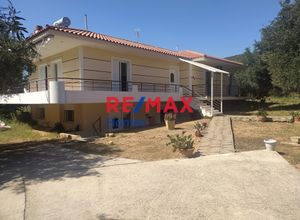 Πώληση, Μονοκατοικία, 300τ.μ. Κορωπί, Αγία Μαρίνα | 15925363 | Spitogatos