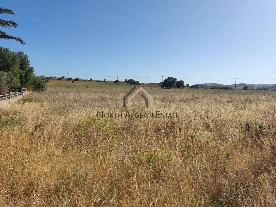 Πώληση, Οικόπεδο, 1445τ.μ. Λήμνος - Μούδρος, Κοντοπούλι | 15977426 ...