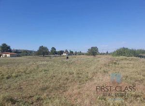 Πώληση, Αγροτεμάχιο, 10500τ.μ. Θέρμη, Ταγαράδες | 16011600 | Spitogatos