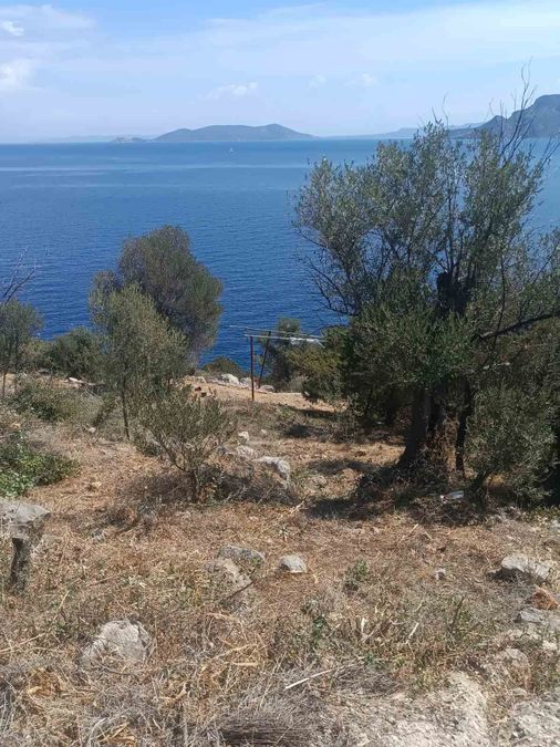 Οικόπεδο προς πώληση Μύλος (Τροιζήνα)