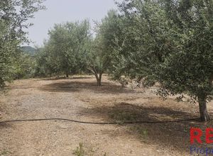 Πώληση, Αγροτεμάχιο, 17000τ.μ. Αρχαία Ολυμπία, Χελιδόνι | 16048983 ...
