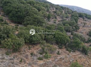 Sale, Parcel, 7308m² Kefalonia, Pylaros | 16238034 | Spitogatos