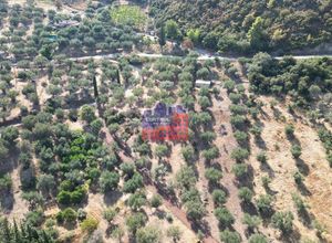 Πώληση, Αγροτεμάχιο, 6750τ.μ. Αίγιο, Σελινούντας | 16340662 | Spitogatos