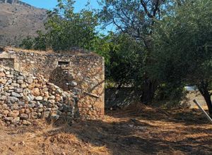 Sale, Detached house, 82m² Oitilos, Oitilo | 16435254 | Spitogatos
