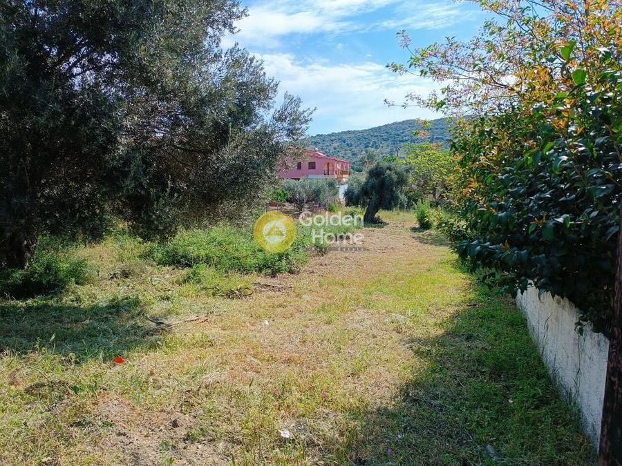 Πώληση, Αγροτεμάχιο, 750τ.μ. Παιανία, Άνοιξη | 16515930 | Spitogatos
