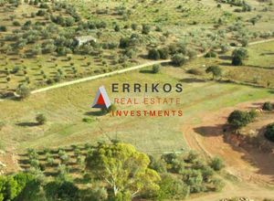 Sale, Detached house, 92m² Asklipieio, Ligourio | 16526566 | Spitogatos
