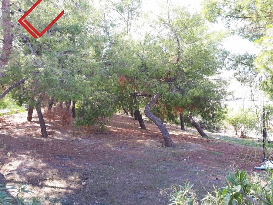 Πώληση, Οικόπεδο, 485τ.μ. Μαρκόπουλο, Πόρτο Ράφτη | 16613222 | Spitogatos