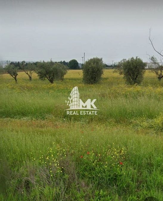 Πώληση, Αγροτεμάχιο, 10800τ.μ. Θέρμη, Ταγαράδες | 16797612 | Spitogatos