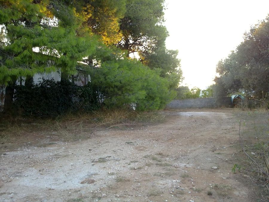 Οικόπεδο προς πώληση Βορινέζα (Αρτέμιδα (Λούτσα))