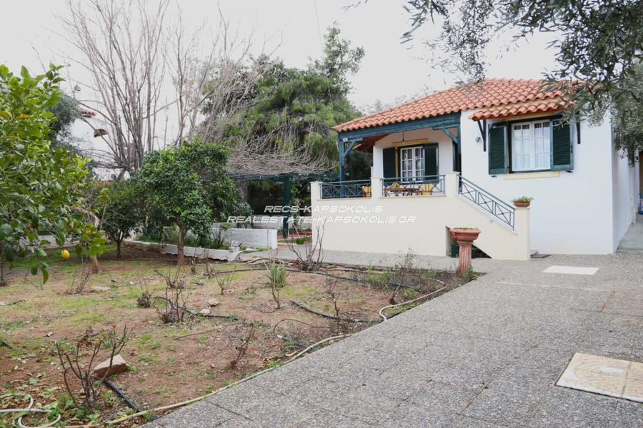 Ενοικίαση, Μονοκατοικία, 70τ.μ. Σαλαμίνα, Σελήνια | 17797538 | Spitogatos