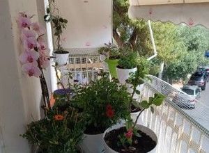 Sale, Apartment, 80m² Keratsini, Kato Amfiali | 18186616 | Spitogatos