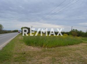 Sale, Plot, 1640m² Poligiros, Kalives Poligirou | 18281390 | Spitogatos