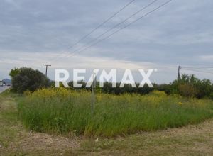 Sale, Plot, 1640m² Poligiros, Kalives Poligirou | 18281390 | Spitogatos