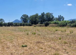 Sale, Parcel, 4787m² Meligala, Zevgolatio | 18382479 | Spitogatos