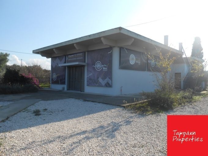 Rent, Warehouse, 350m² Korinthos, Poseidonia | 19058968 | Spitogatos