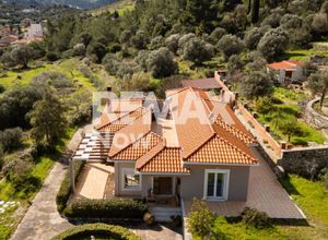 Houses for sale Kamara - Agia Triada | Tospitimou.gr