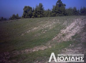 Πώληση, Αγροτεμάχιο, 4700τ.μ. Χαλκιδική, Κασσάνδρα | 3483530 | Spitogatos