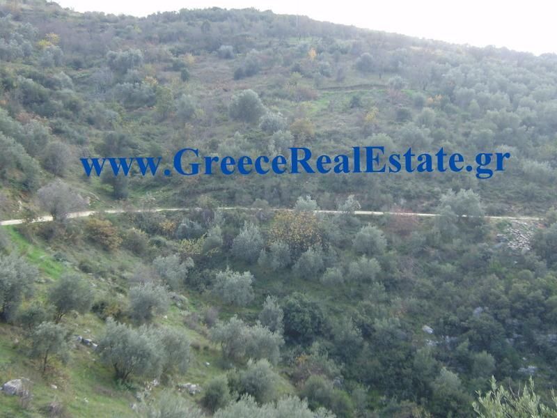 Αγροτεμάχιο προς πώληση Νέα Ιωνία Βόλου - ΑΓΡΟΤΕΜΑΧΙΟ - ΕΛΑΙΩΝΑΣ ...