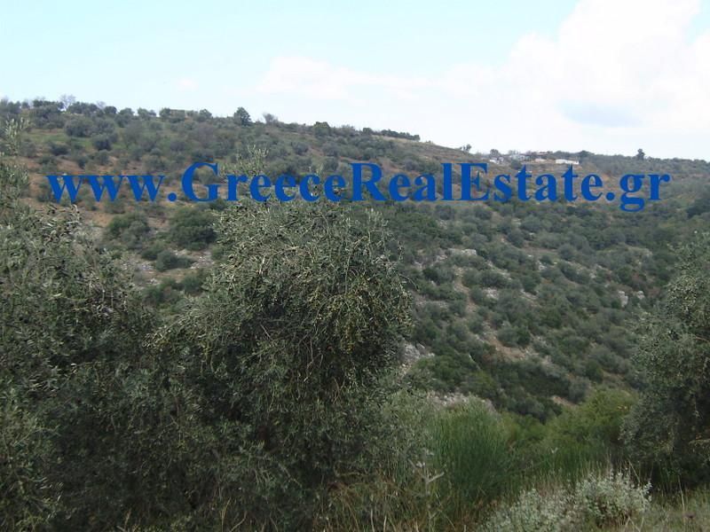 ΑΓΡΟΤΕΜΑΧΙΟ - ΕΛΑΙΩΝΑΣ ΟΙΚΟΔΟΜΗΣΙΜΟ