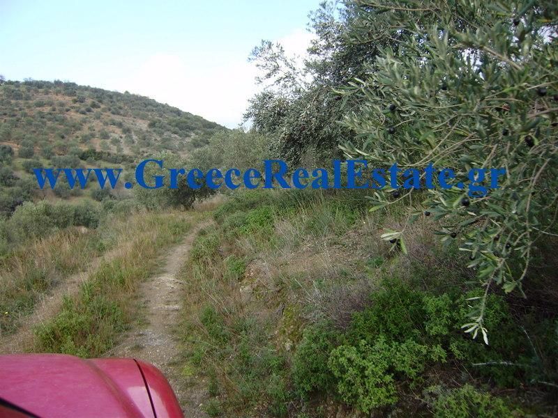 ΑΓΡΟΤΕΜΑΧΙΟ - ΕΛΑΙΩΝΑΣ ΟΙΚΟΔΟΜΗΣΙΜΟ